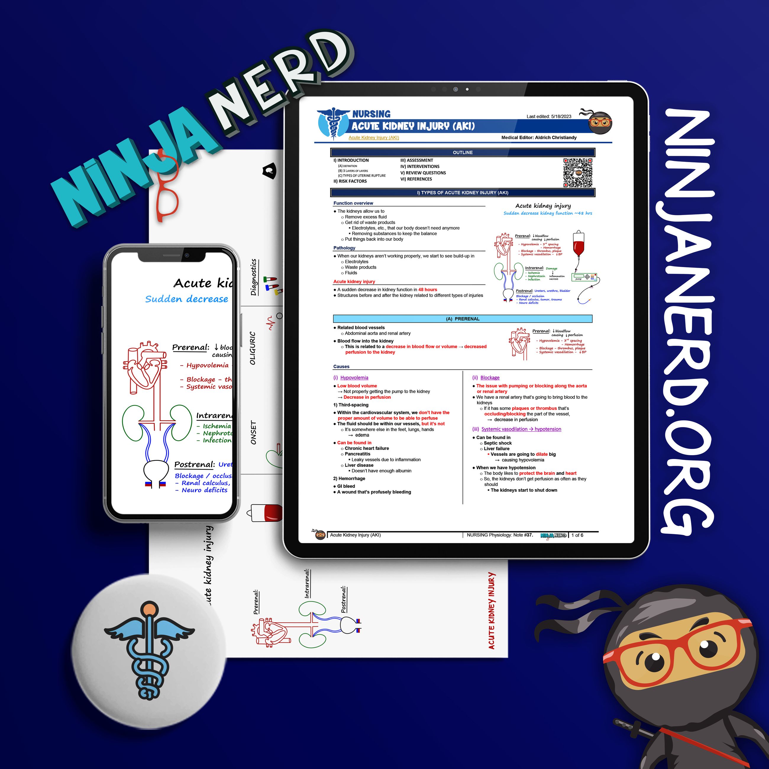 Acute Kidney Injury (AKI) - Notes - NinjaNerd Medicine